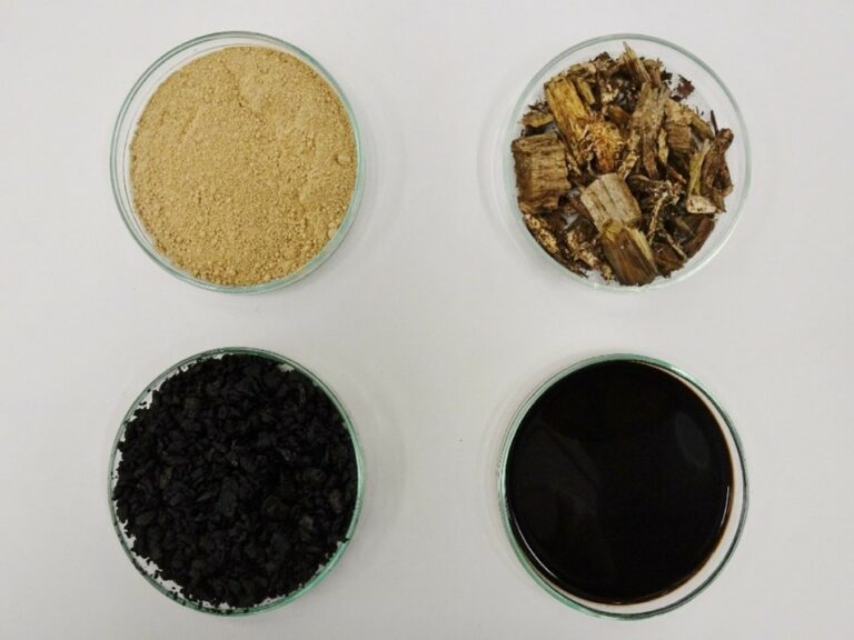 What is the deal with soil additives | Which Plant Where