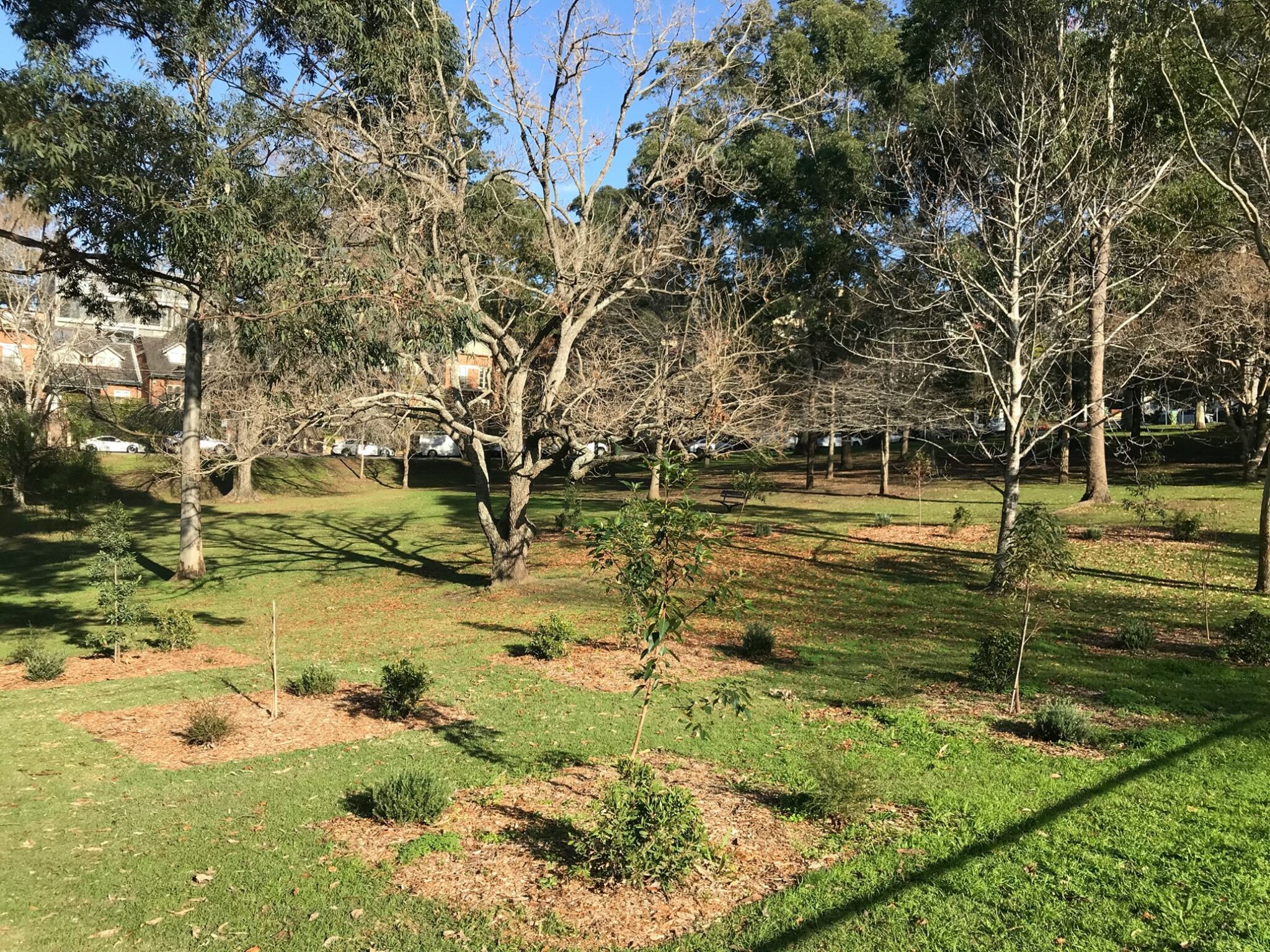 Living Labs | Which Plant Where